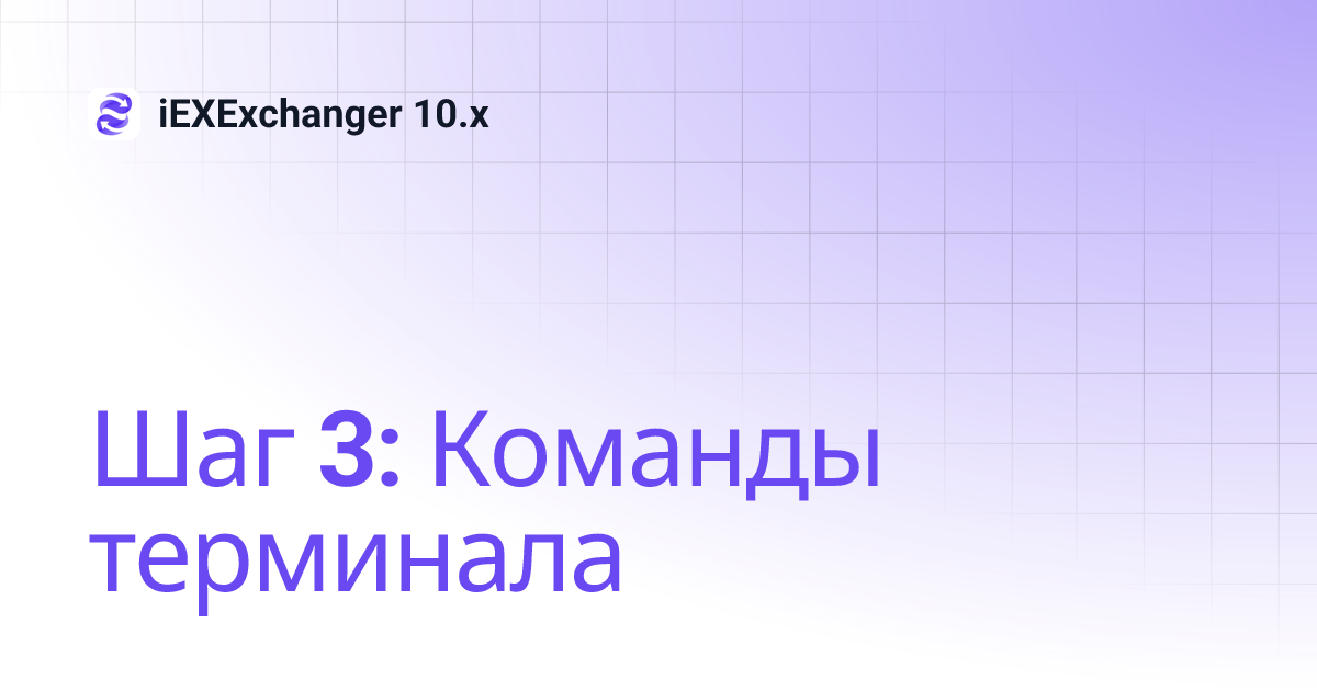 Шаг 3: Команды терминала | iEXExchanger 10.x